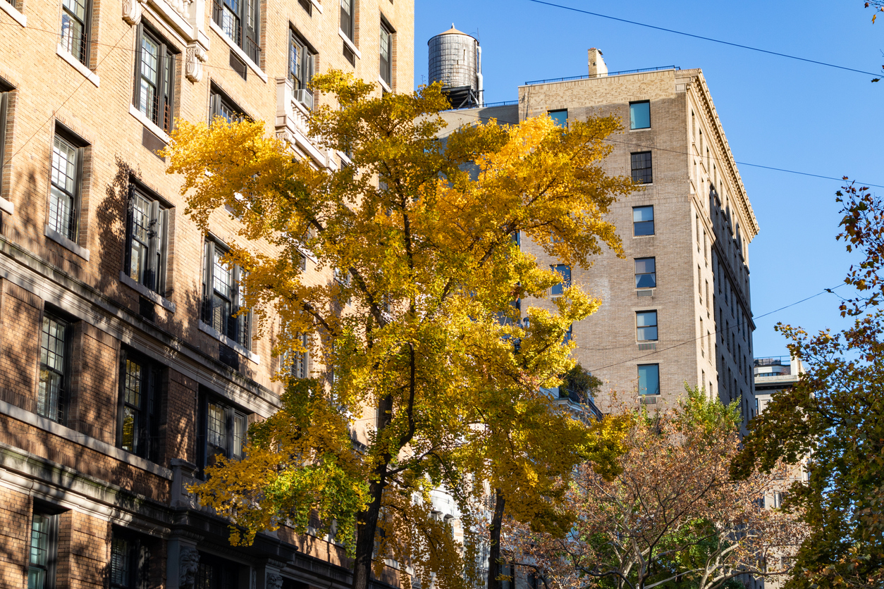 How To Rent In NYC As A Foreign National how-to-rent-in-nyc-as-a-foreign-national