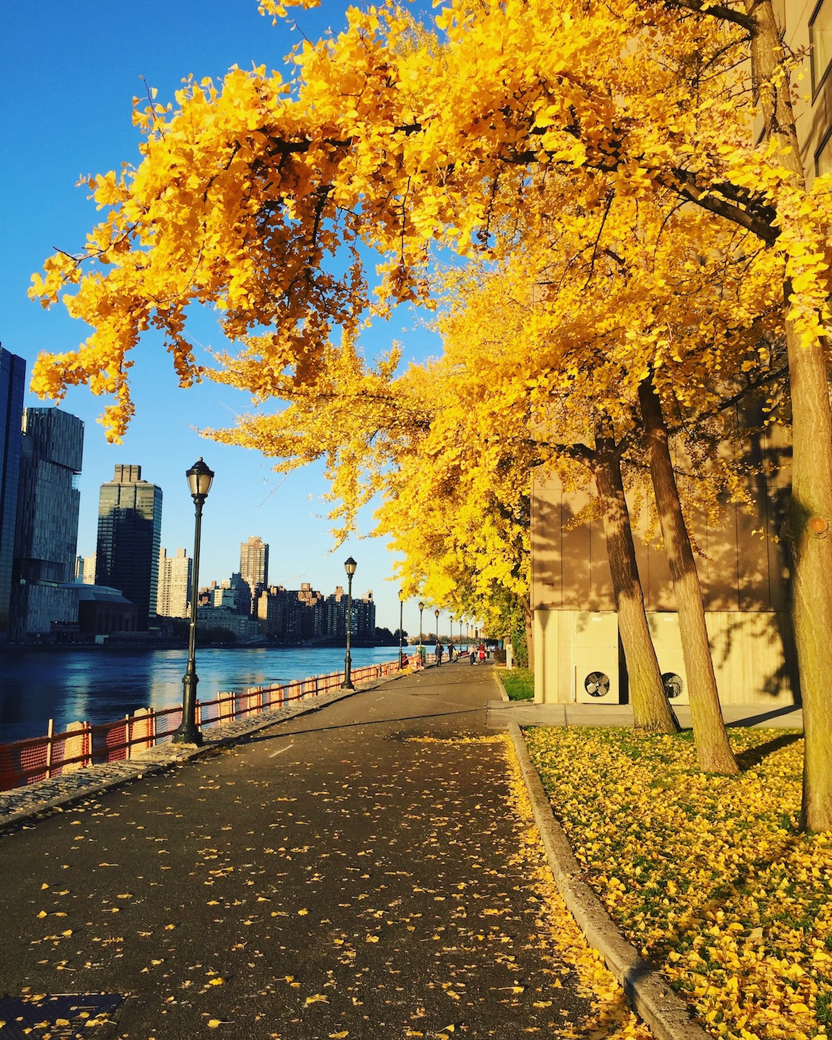 Living on Roosevelt Island - What's it like and is it bad?