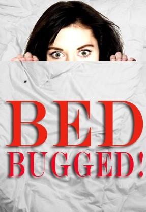 Bugs that Look Like Bed Bugs: How to Tell the Difference